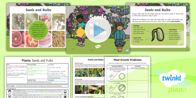 Science: Plants: Seeds and Bulbs Year 2 Lesson Pack 2