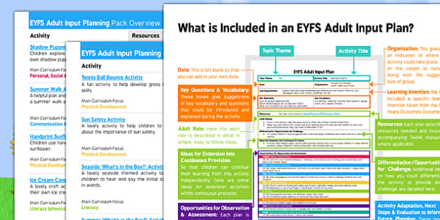 FREE! - EYFS Summer Adult Input Planning and Resource Pack Overview