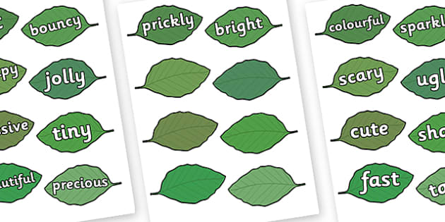 FREE! - Wow Words on Leaves for Display Tree (teacher made)