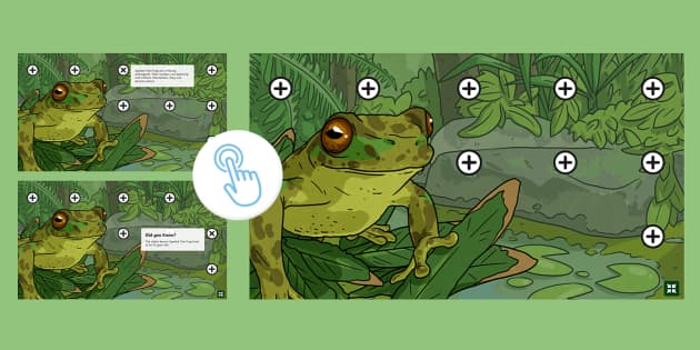 Spotted Tree Frog Interactive Hotspot | Twinkl - Twinkl