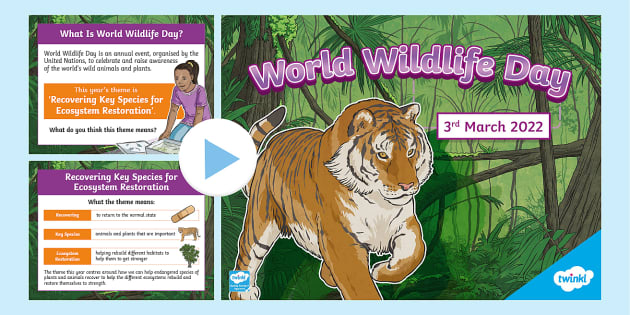 FREE! - KS2 World Wildlife Day PowerPoint (teacher made)