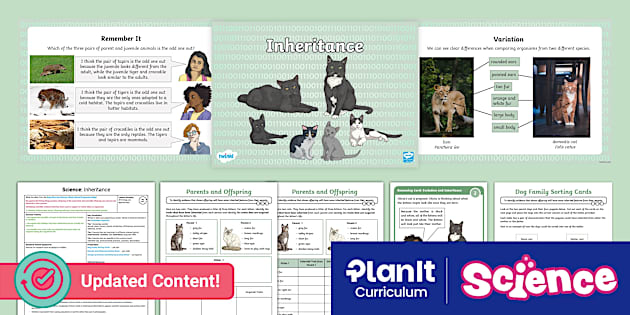 Science: Evolution and Inheritance: Inheritance Year 6 L2