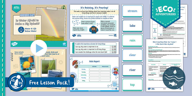 FREE! - Year 1 Water & Life Below Water: The Importance of Water