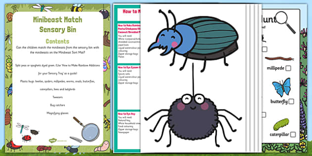 Minibeast Match Sensory Bin (teacher made) - Twinkl