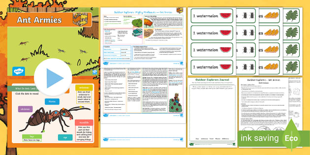 Outdoor Explorers KS1 Autumn Lesson 6: Ant Armies Lesson Pack