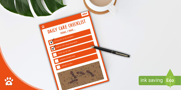 Ant Care - Daily Checklist - Ant Farm - Ants - Twinkl Pets