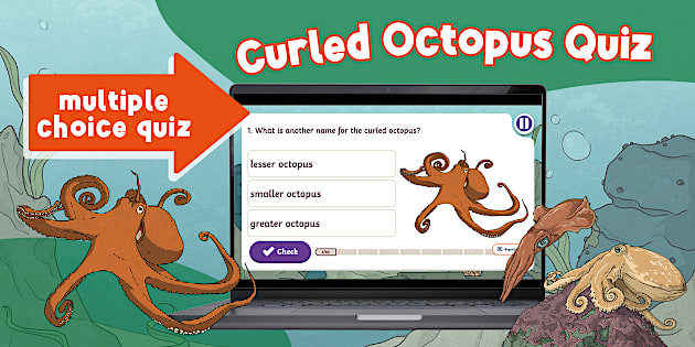 Curled Octopus Multiple Choice Quiz