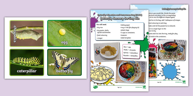 Butterfly Education and Awareness Day Sensory Sorting Tray