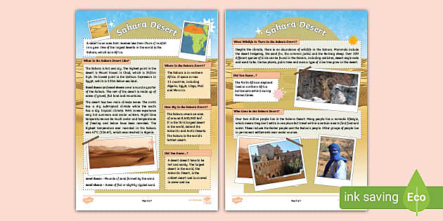 All About the Sahara Desert Fact File (teacher made)