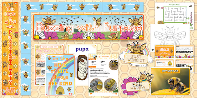 Bee Bulletin Board Border - Twinkl South Africa - Twinkl
