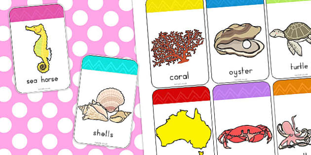 Great Barrier Reef Flashcards (teacher made) - Twinkl