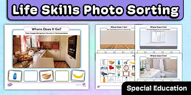 Life Skills Photo Sorting Activity: Where Does It Go? for Special Education