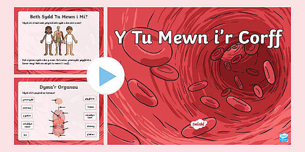 Pŵerpwynt Y Tu Mewn i'r Corff (Teacher-Made) - Twinkl