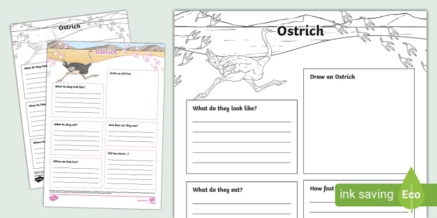 Ostrich Fact File Template (l'enseignant a fait) - Twinkl