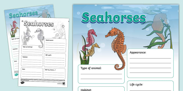 Seahorses Fact File (nauczyciel wykonał) - Twinkl Seahorses Fact File (nauczyciel wykonał) - Twinkl