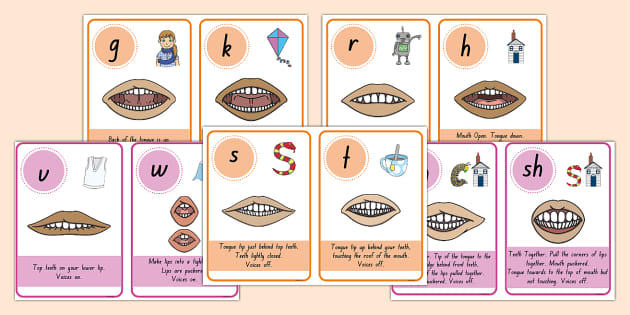 Twinkl Phonics Speech Sound Cards Display (teacher made)