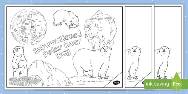 * NEW * International Polar Bear Day Doodle Page - Twinkl