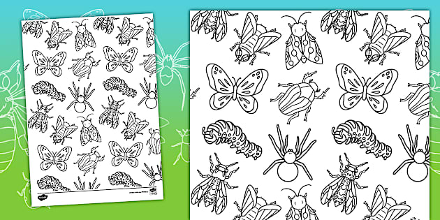 Feuille de coloriage : Les petites bêtes (Teacher-Made)