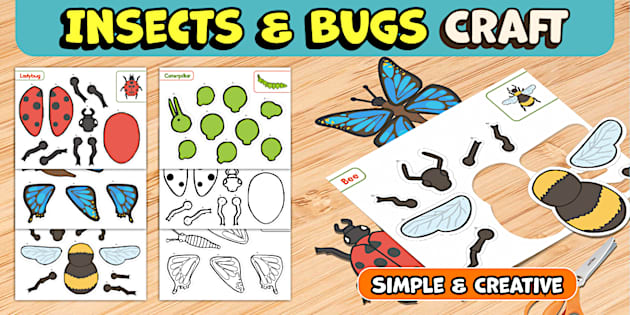 Insects and Bugs Split Pin Craft - Twinkl