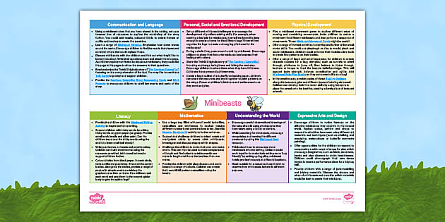 Early Years Minibeasts Topic Planning | EYFS Reception