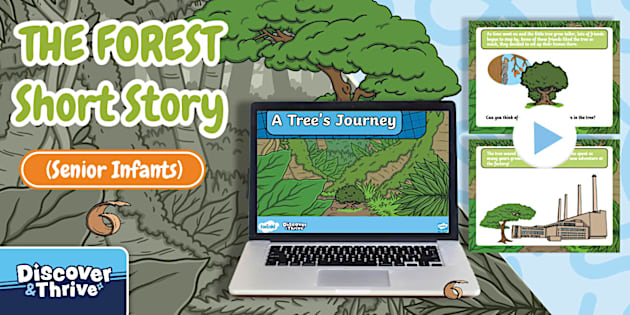 STEM (Materials) The Forest Short Story (Senior Infants)