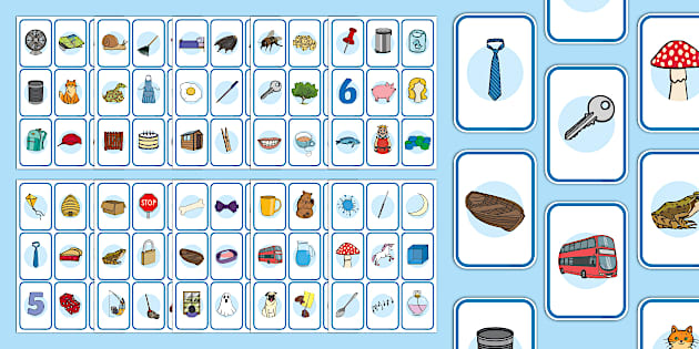 Long and Short Vowel Picture Sorting Cards (teacher made)