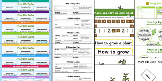 Eyfs Plant Life Cycles Lesson Plan Enhancement Ideas And Resources Pack