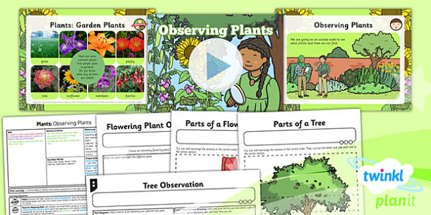 Science: Plants: Observing Plants Year 2 Lesson Pack 1
