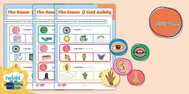 I Can Activity Sheet About the Five Senses