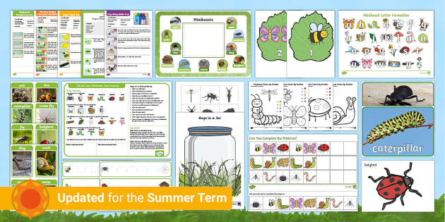 Minibeast Resources for Childminders | Twinkl Activities