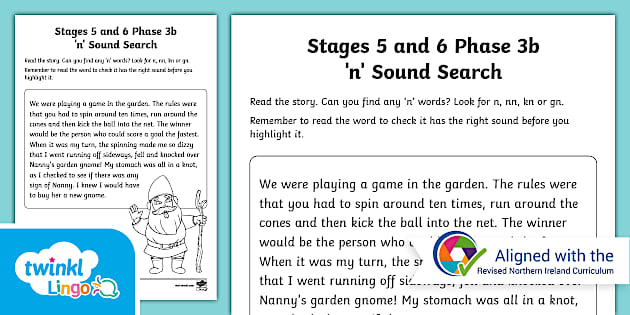 Northern Ireland Linguistic Phonics 3b 'n' Sound Search Worksheet