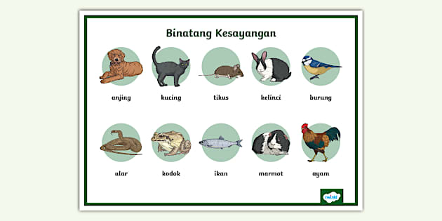 My Pets Word Mat - Indonesian (Teacher-Made) - Twinkl
