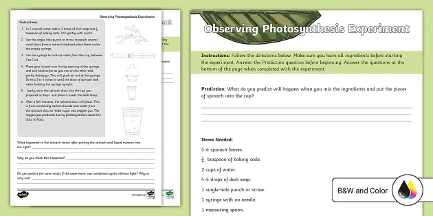 Photosynthesis Experiment With Baking Soda