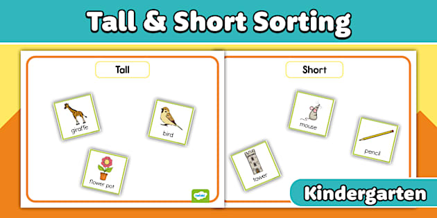 Kindergarten Tall and Short Sorting Activity