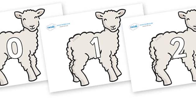 Numbers 0-100 on Lambs (Teacher-Made) - Twinkl