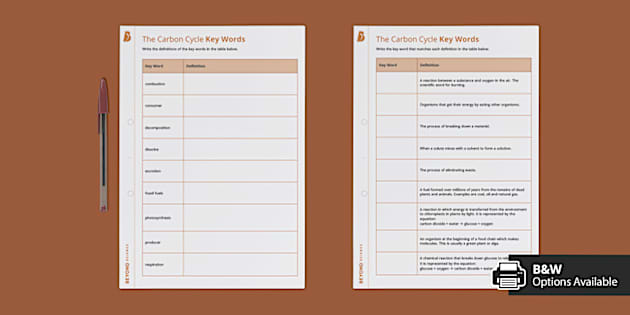 Carbon Cycle Key Words | Beyond Science