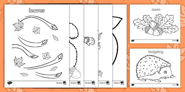 Fall Vocabulary Coloring Sheets - Twinkl