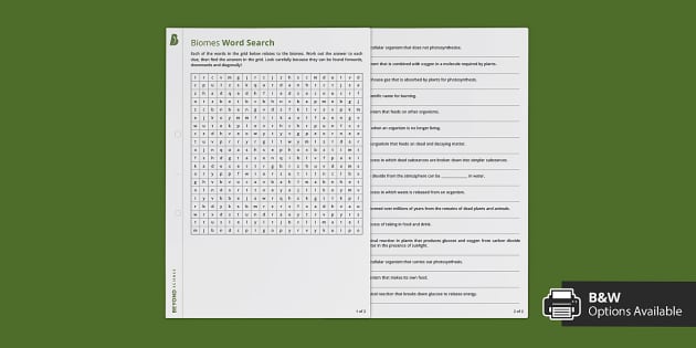 Biomes Word Search