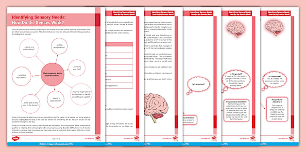 Identifying Sensory Needs: How Do the Senses Work? - Twinkl Identifying Sensory Needs: How Do the Senses Work? - Twinkl