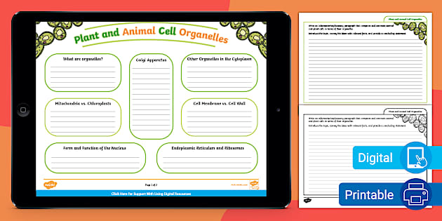 Plant and Animal Cell Organelles Notes and Write - Twinkl