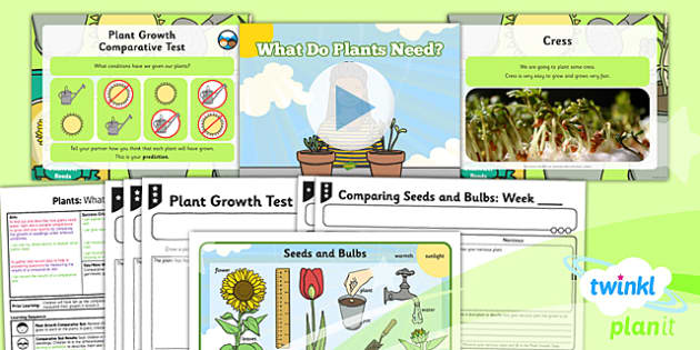 Science: Plants: What Do Plants Need Year 2 Lesson Pack 4