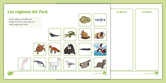 Ficha de actividad: Animales de las Regiones del Perú