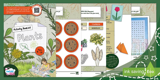 Plant-Themed Booklets for Kids - Twinkl