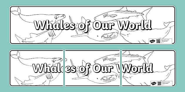 Whales of Our World Colouring Display Banner (Teacher-Made)