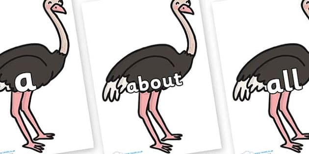 100 High Frequency Words on Ostriches (teacher made)