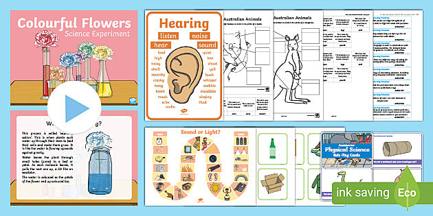 Free Australia F-2 Science Taster Resource Pack - Twinkl