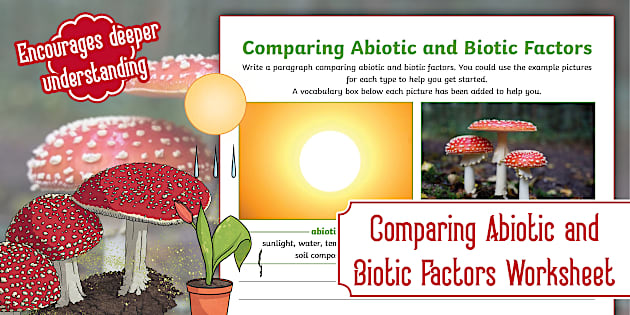 Comparing Abiotic and Biotic Factors Worksheet