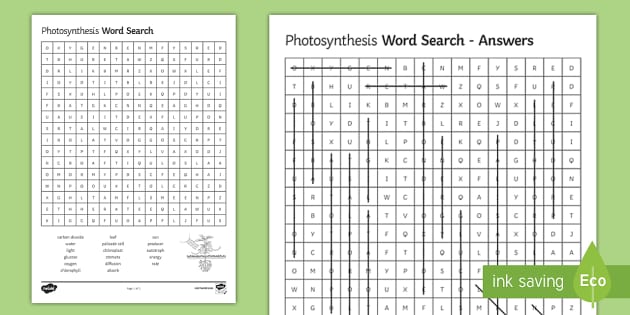 Photosynthesis Word Search - (teacher made)
