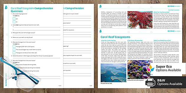 FREE! - Coral Reef Ecosystems Reading Comprehension | Beyond
