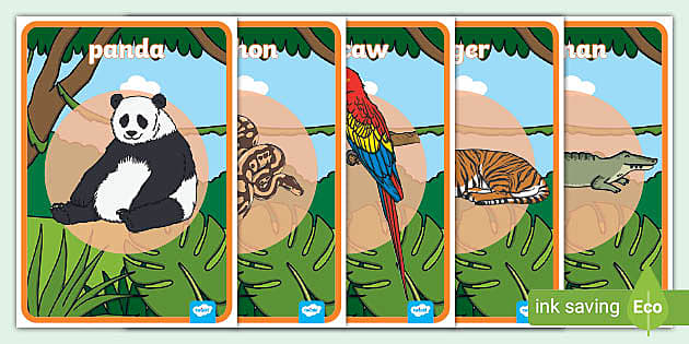 Jungle & Rainforest Display Posters (teacher made) - Twinkl